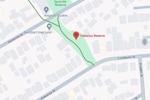 Hakanoa Reserve Planting & Trap Handout Day - Grey Lynn Residents ...